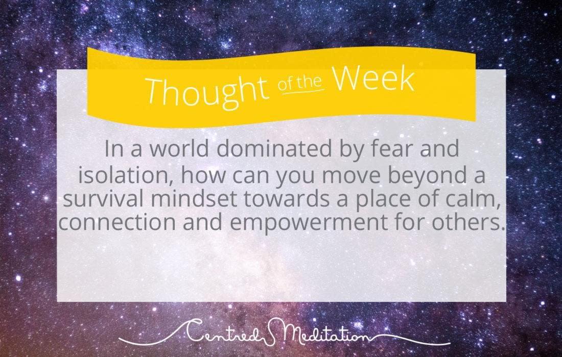 Survival Mindset Vs Thrive Mindset - Centred Meditation Australia